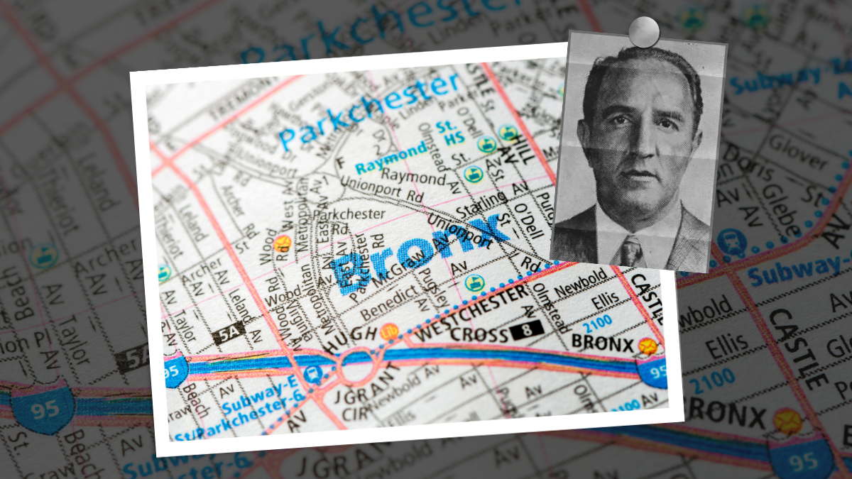 The Alo Regime Leadership Chart - The New York Mafia
