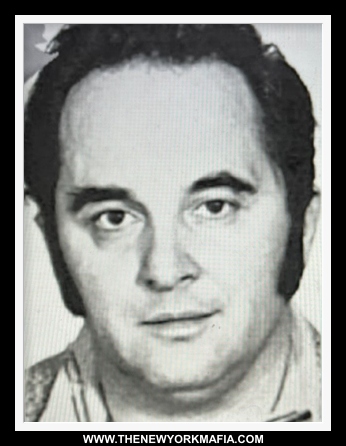 Do-Do Makes a Deadly Boo-Boo - The Paddy Whack Series - The New York Mafia